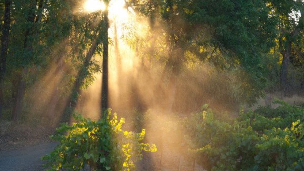 Allah is merciful to the believers at all points in their life and ...